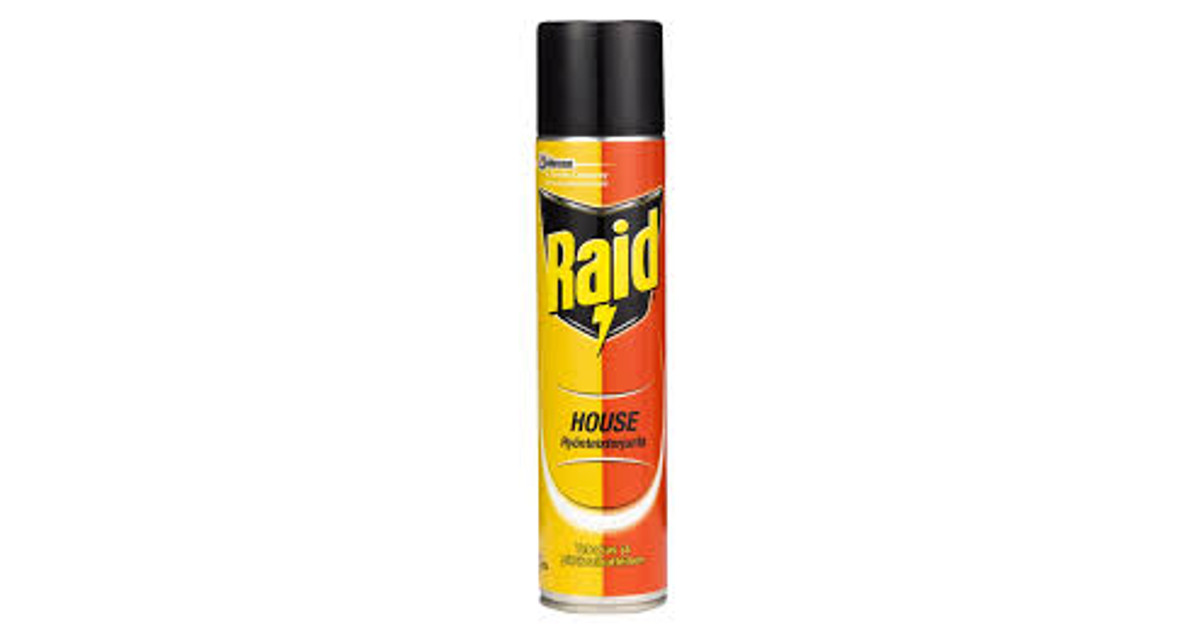 Raid House Hyönteistorjunta 300ml