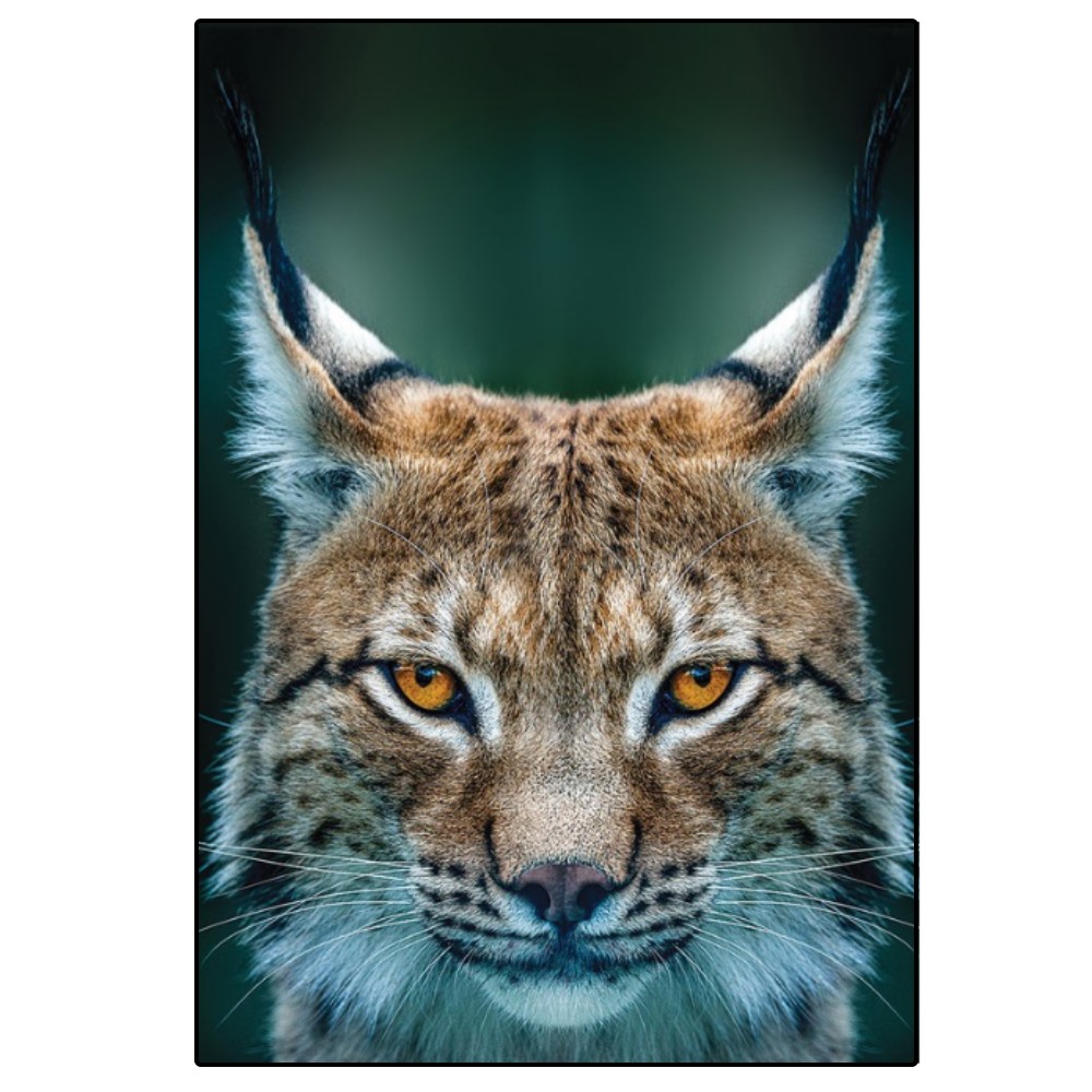 Jysmä Käytävämatto Ilves 100 X 150cm