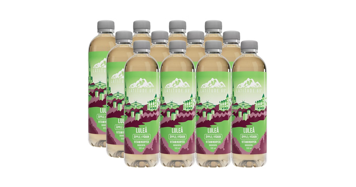 Latitude 65 Luleå Vitamiinijuoma 500ml