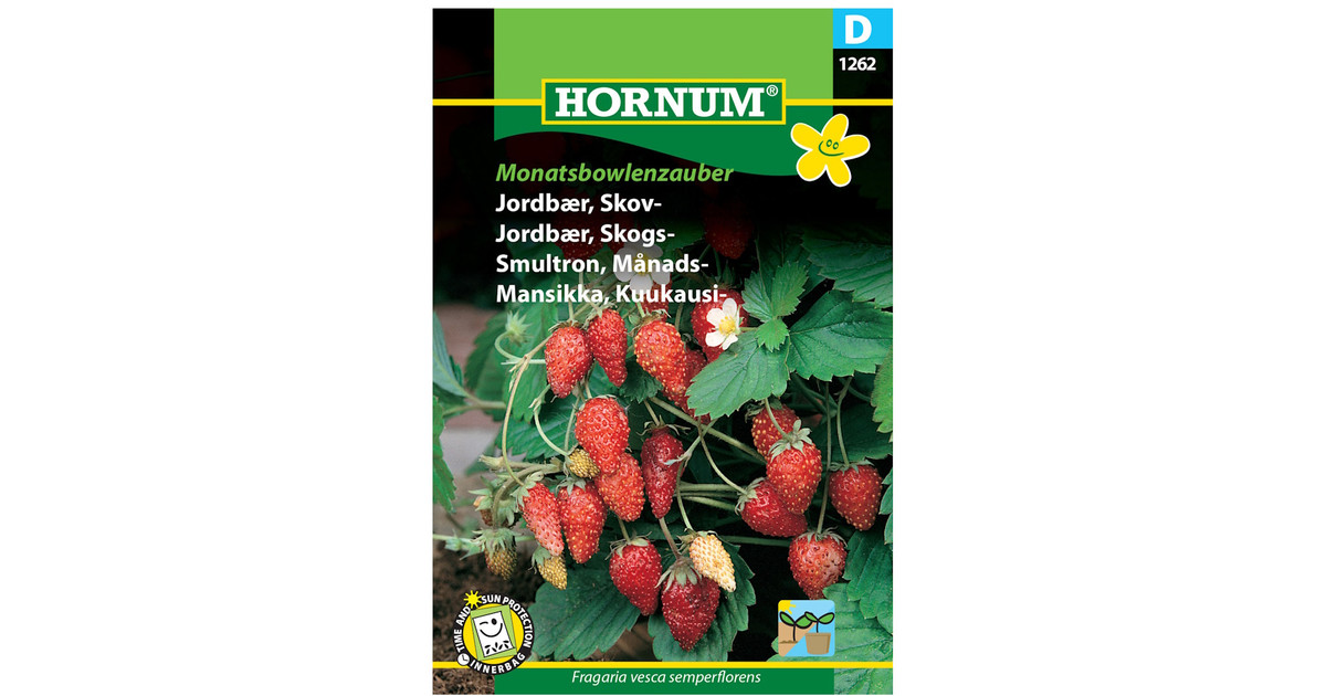 Hornum Metsämansikka